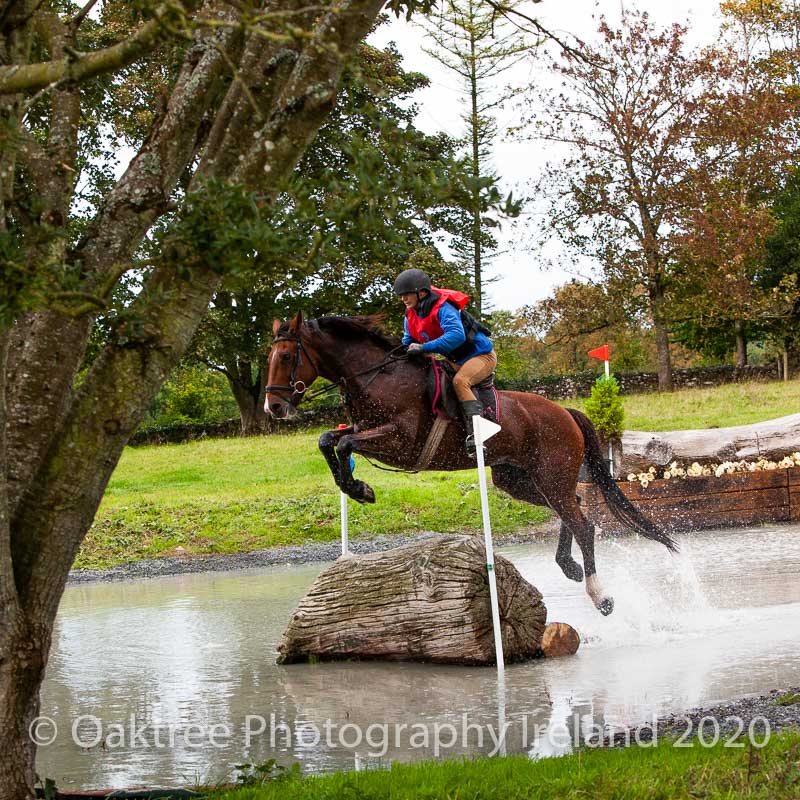 Equestrian Galleries - Ballycahane Equestrian - www.oaktreepix.com